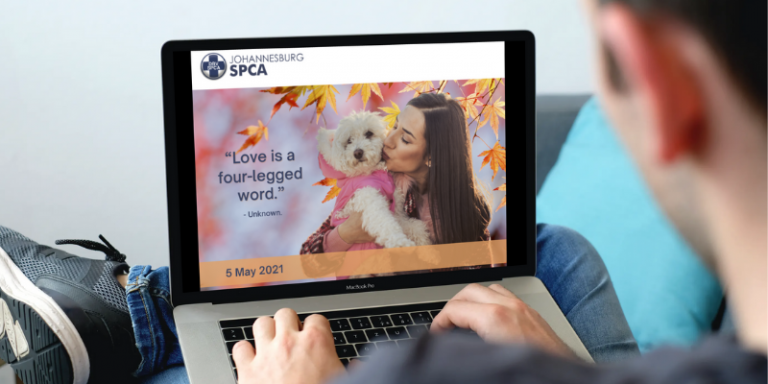 Contact Us - Johannesburg SPCA